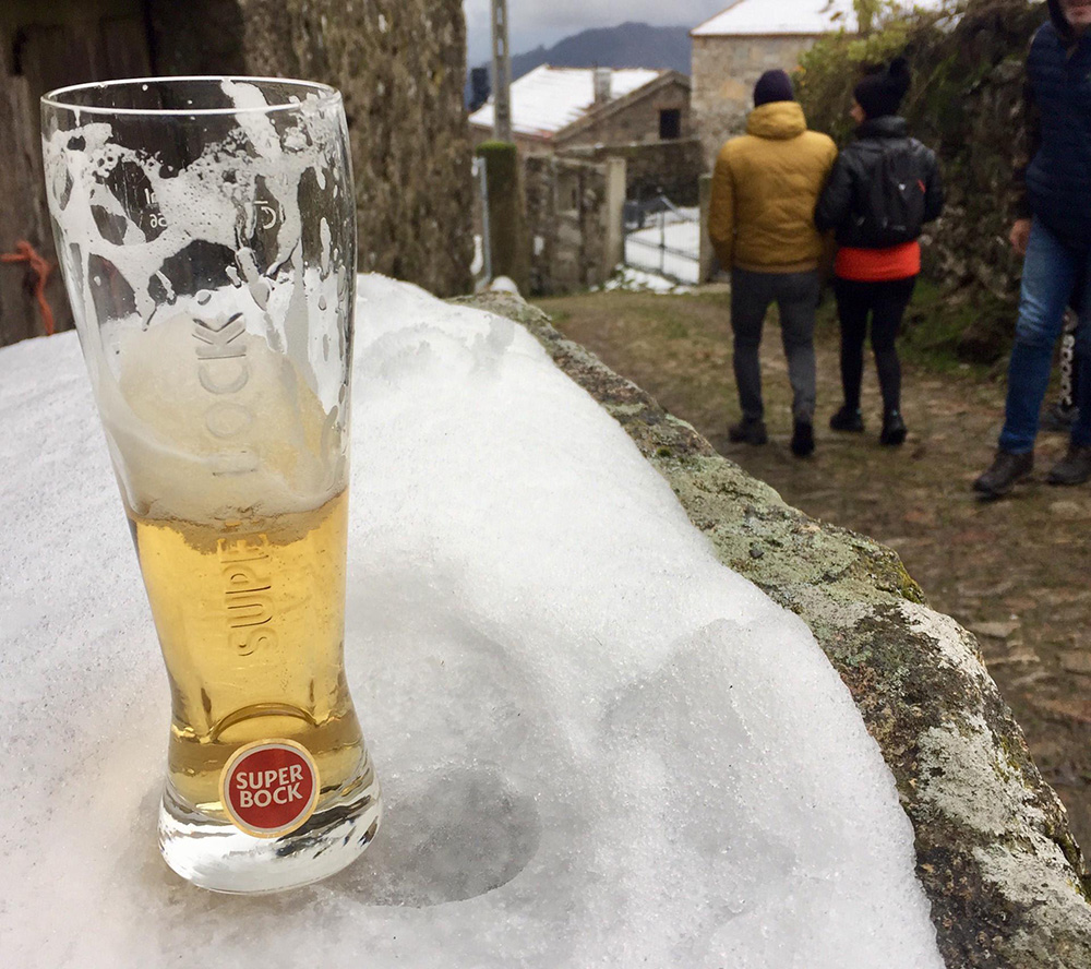 What is the most popular beer and wine in Porto?